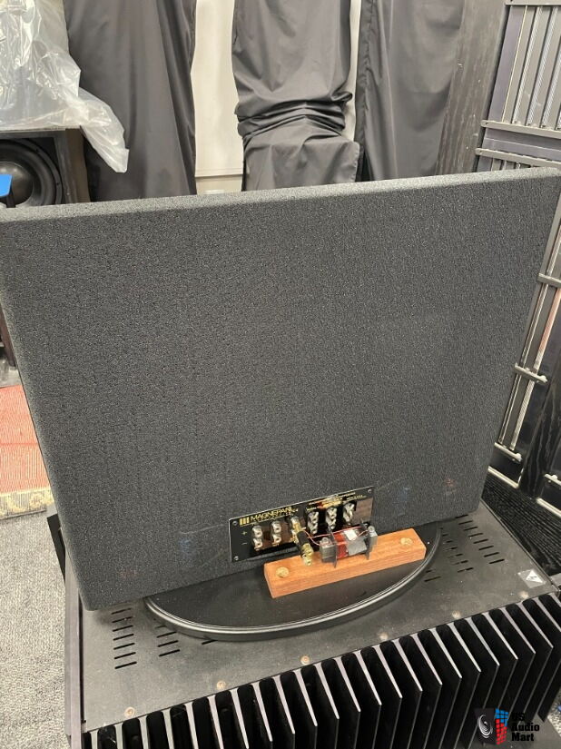Magnepan DWM bass panel Photo #3335917 - UK Audio Mart