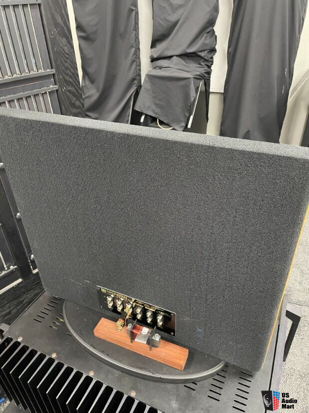 Magnepan DWM bass panel Photo #3335944 - UK Audio Mart