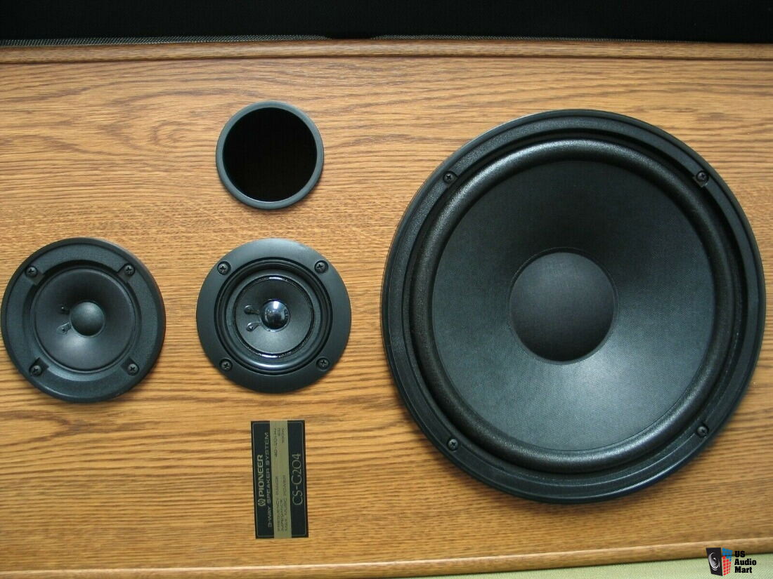 Pioneer CS-G204 Speakers Vintage Loudspeakers ( Circa 1995 ) Original ...