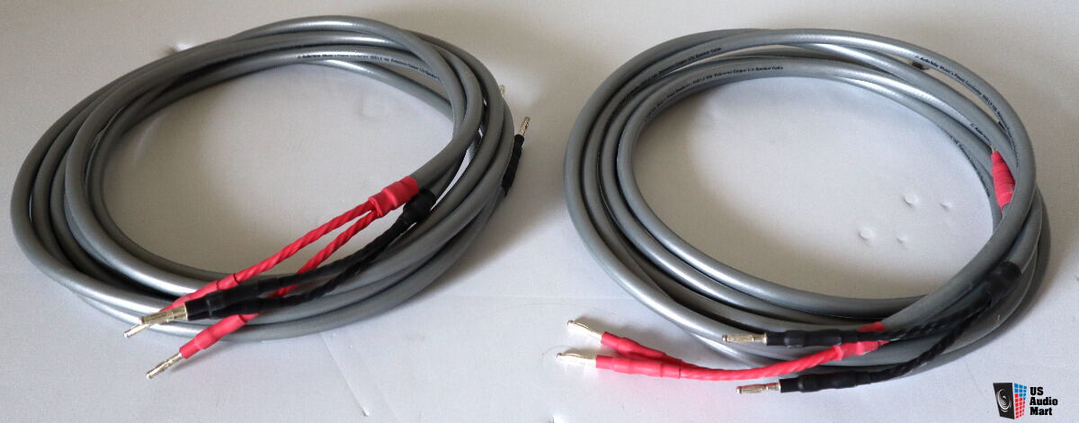Audio Note AN-E SPe HE Speakers in Tulip With Audio Note Bi Wire ...