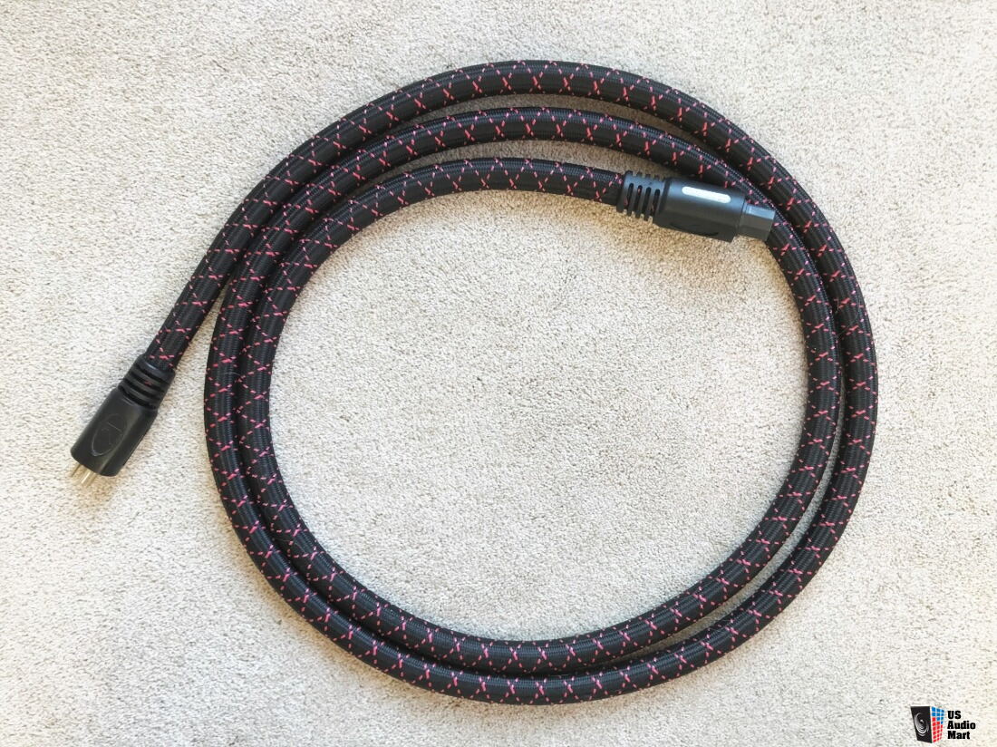 PS Audio Power Statement SC 10 foot cable For Sale - US Audio Mart