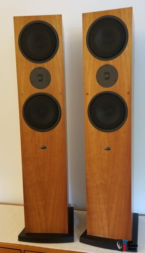 Linn Ninka Tower Speakers For Sale - US Audio Mart