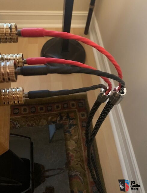 Raven Audio Speaker cables 2Meter Only 1 PaIr left For Sale - US Audio Mart