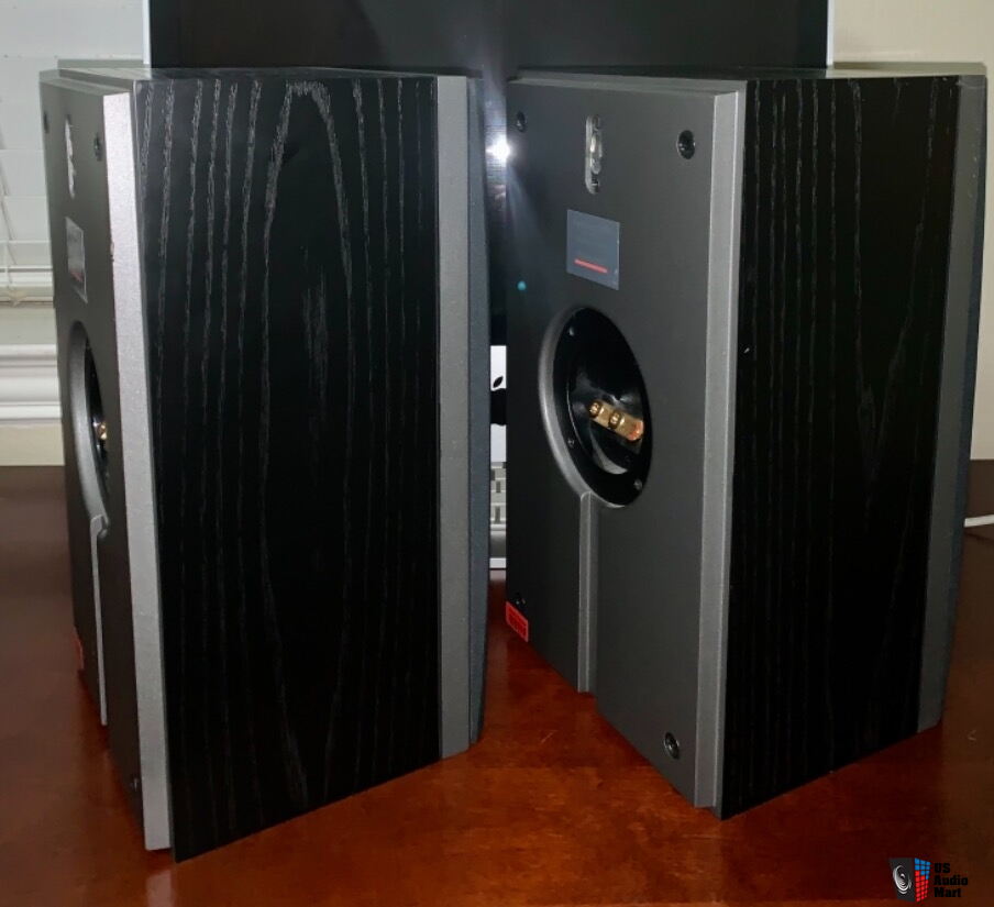 Dynaudio Audience 42W bookshelf speakers Photo #3429648 - US Audio Mart