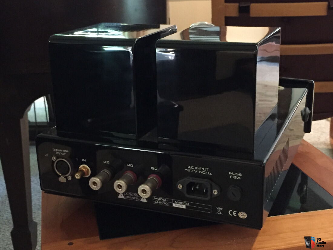Melody Dark 300B monoblocks Photo #3432170 - UK Audio Mart
