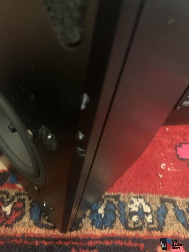 Rega Kyte Loudspeakers: Original Version, Refurbished and Upgraded ...
