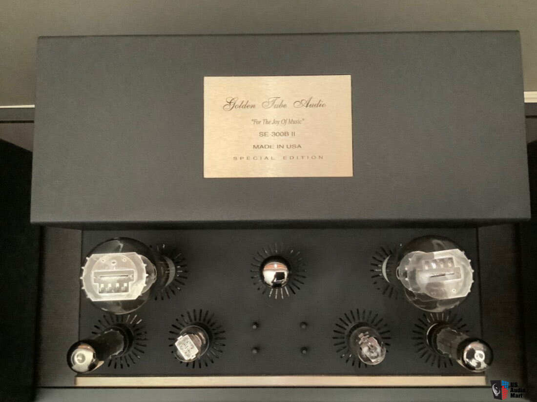 Golden Tube Audio SE 300b II Photo #3493389 - US Audio Mart
