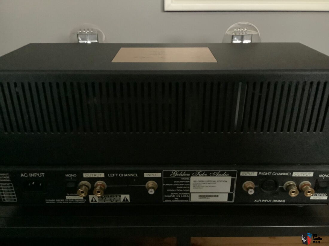 Golden Tube Audio SE 300b II SE Shipped Photo #3528997 - US Audio Mart