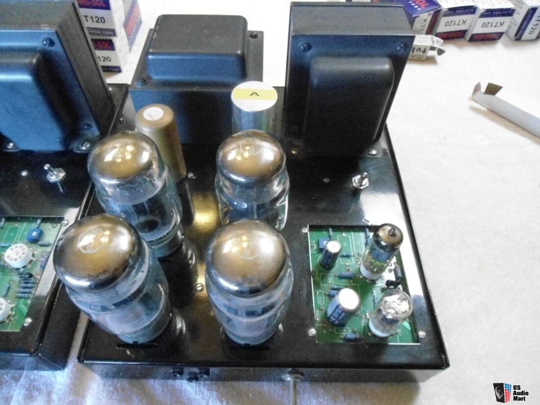 Bob Latino VTA M-125 Mono Block Amps Photo #3571126 - US Audio Mart