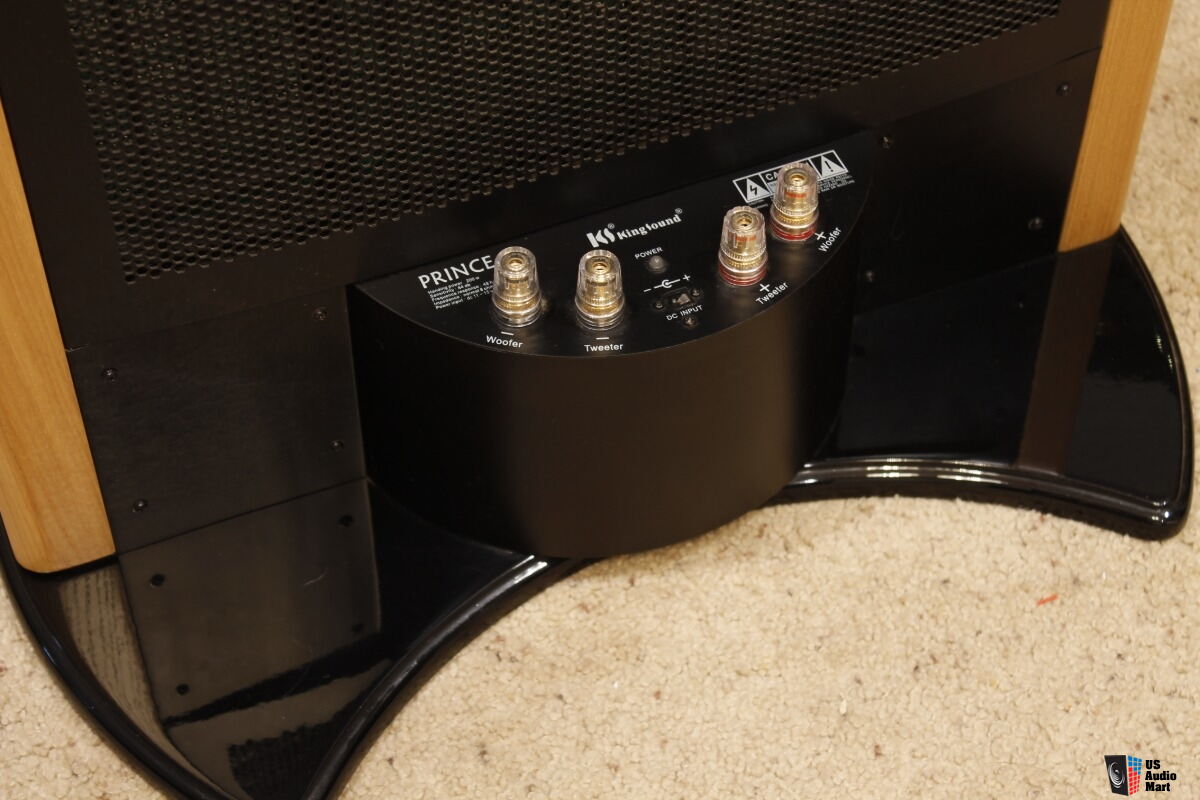 King Sound Price II Electrostatic Speakers Photo #3572213 - US Audio Mart