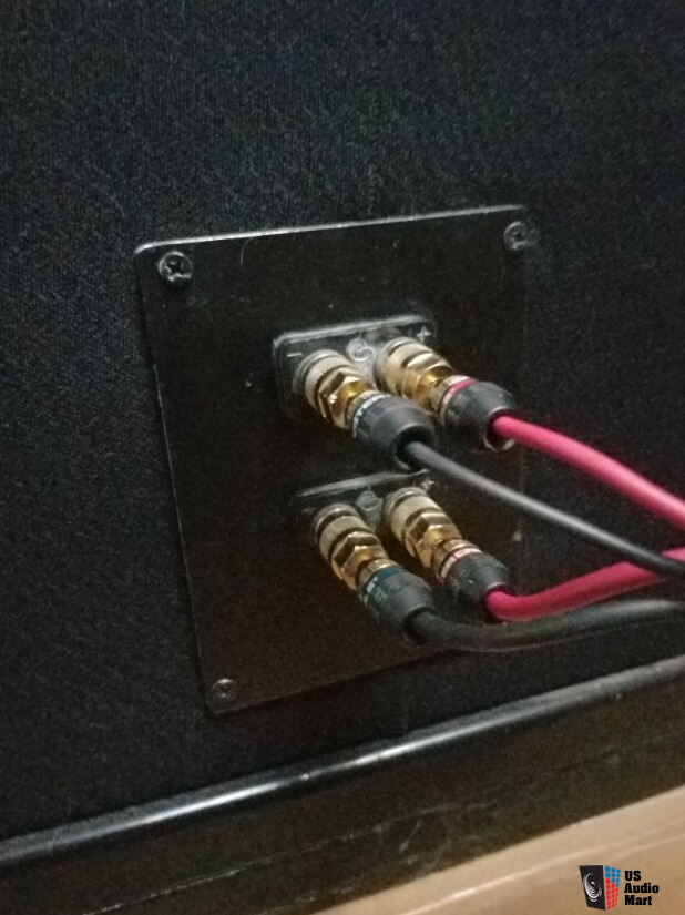 Duntech Black Knights (PCL400) Photo #3597117 - US Audio Mart