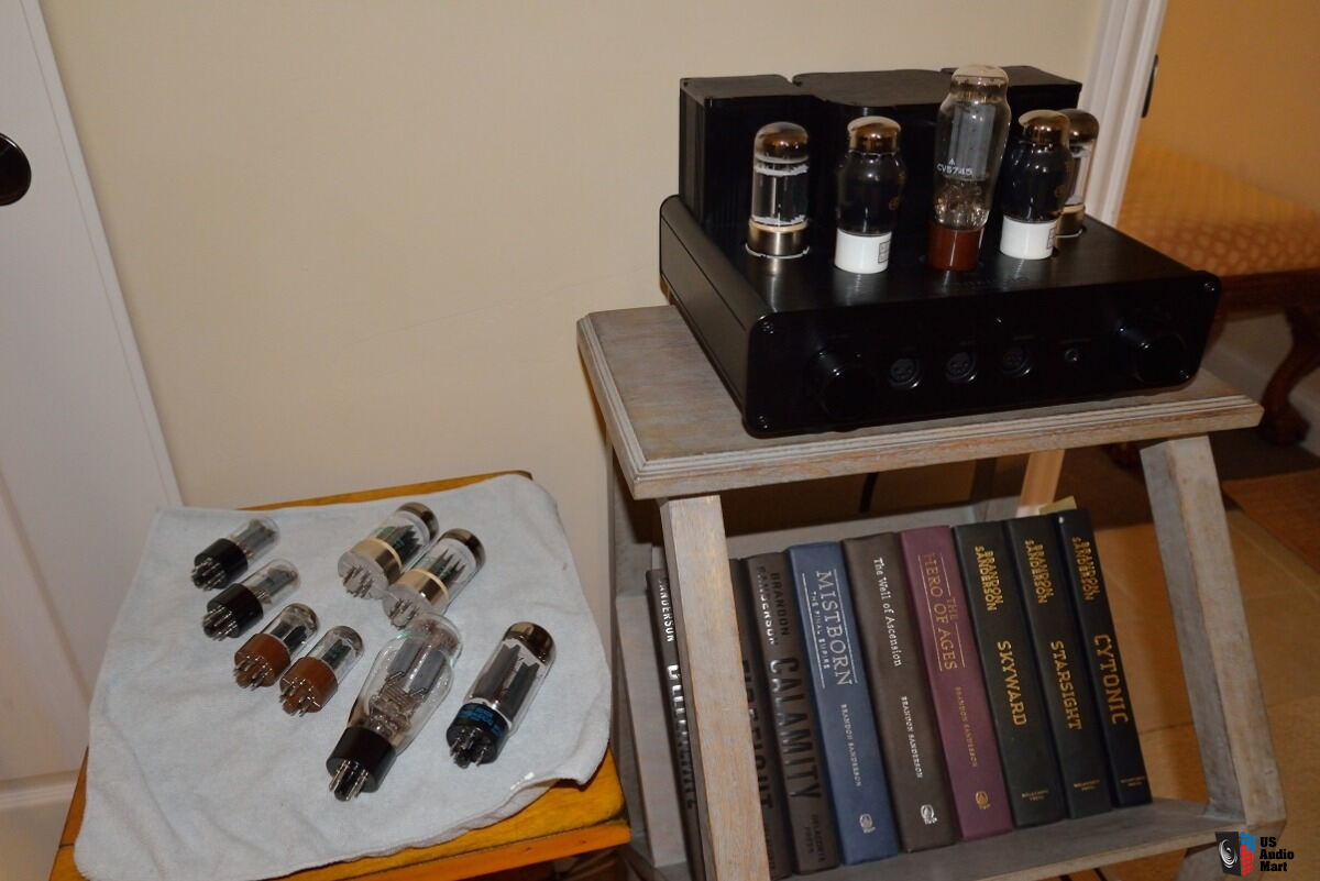 Woo WA22 2nd Gen with many NOS tubes Photo #3602497 - US Audio Mart