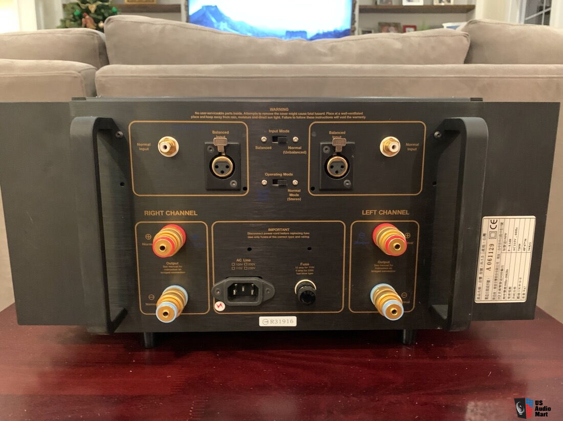 Absolutely pristine Usher Reference 1.5 Class A Power Amplifier with ...
