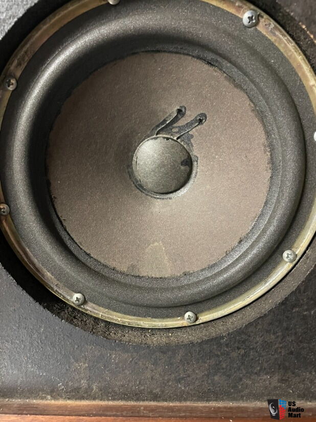 EPI (epicure) M201 speakers Photo #3615139 - UK Audio Mart