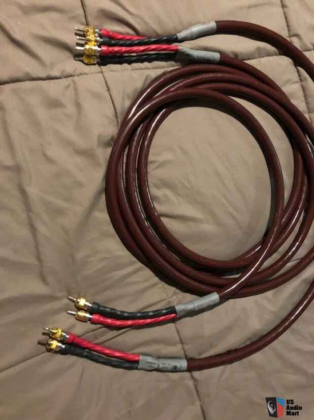 10-ft Cardas Golden Cross speaker cables (banana-banana) Photo #3642563 ...