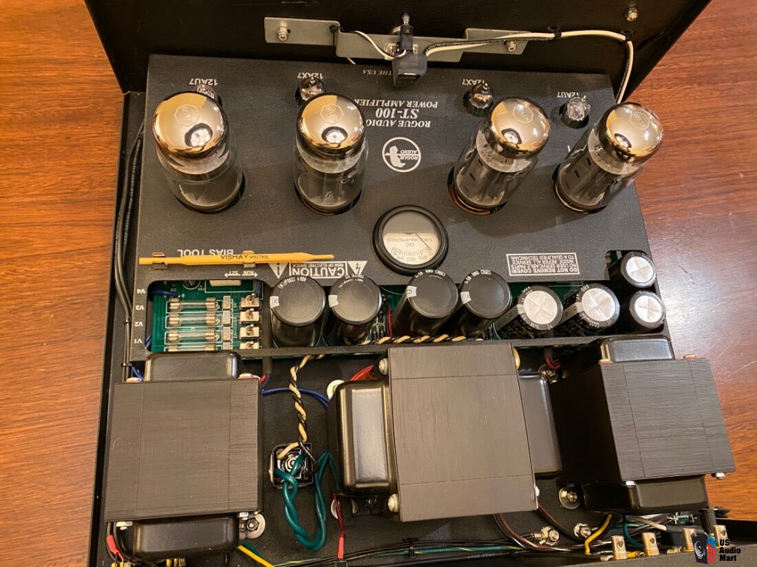 Rogue Audio Stereo 100 Photo #3644056 - US Audio Mart