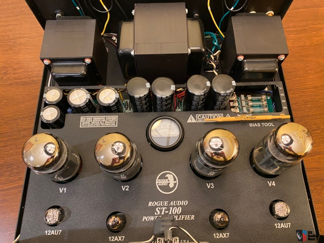 Rogue Audio Stereo 100 Photo #3644056 - US Audio Mart