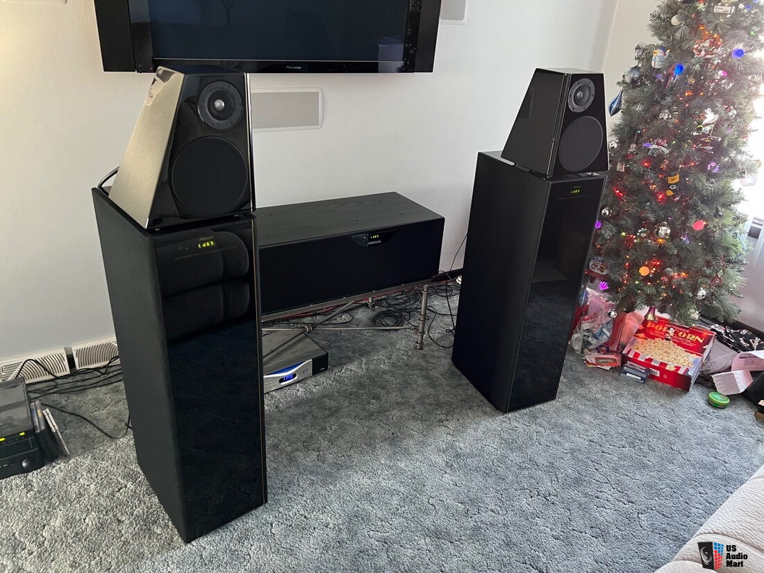 Meridian DSP6000 Class A Stereophile Floor Standing Speakers Photo ...