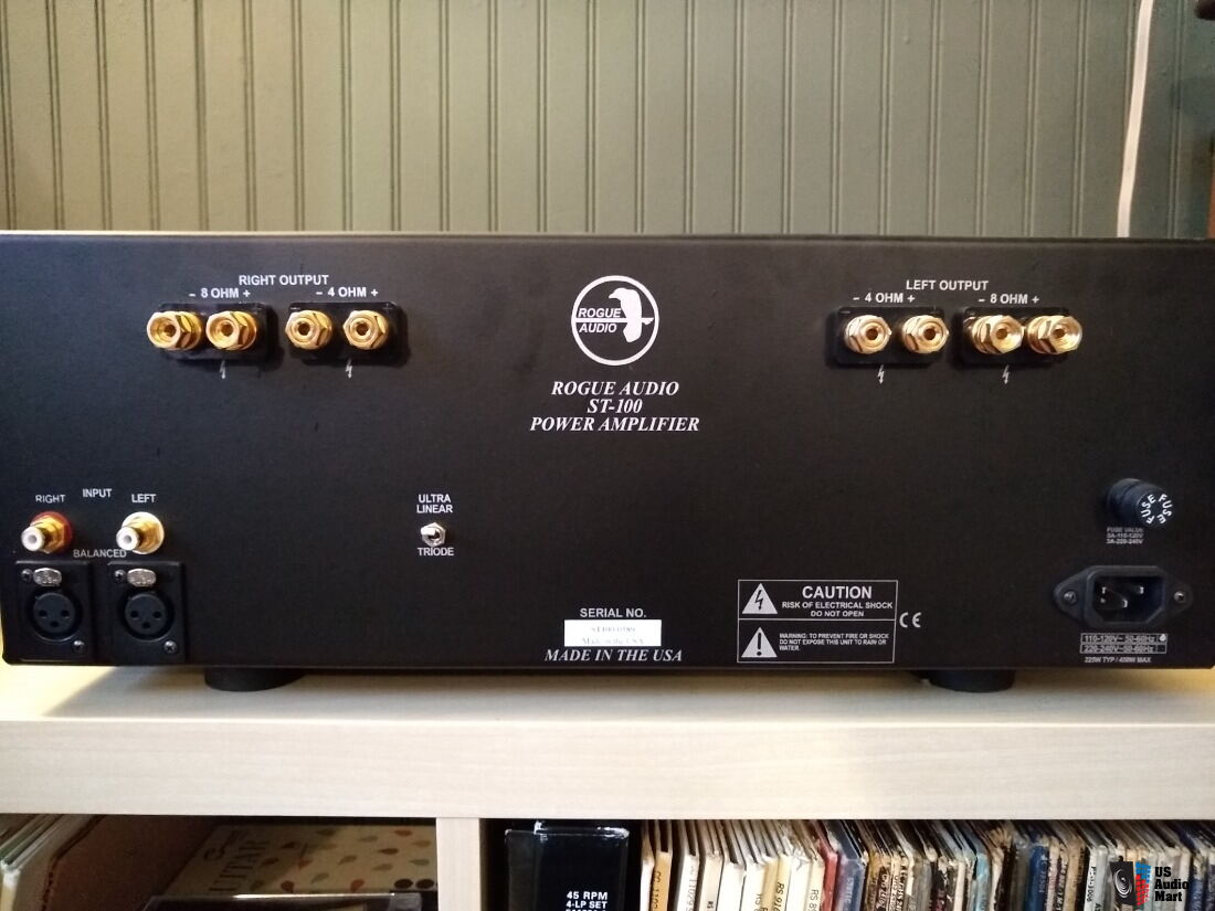 Rogue Audio stereo 100 Tube power amp Photo #3681498 - US Audio Mart