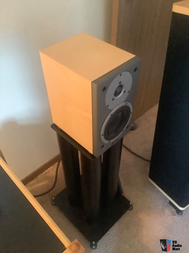 Dynaudio Audience 42 Monitors in Maple - Ex. Condition w/ Box Shipping ...