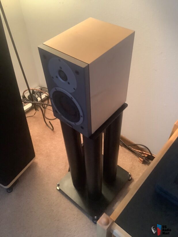 Dynaudio Audience 42 Monitors in Maple - Ex. Condition w/ Box Shipping ...