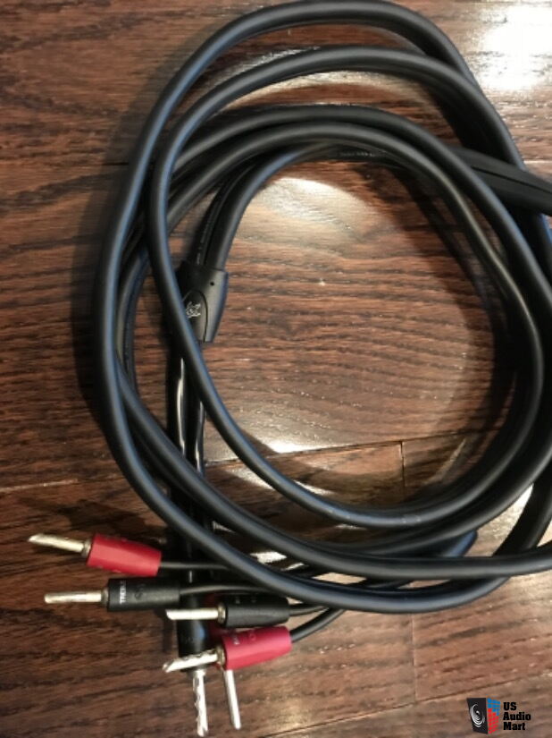 Audioquest Rocket 22 Bi-wire Single Speaker Cable 15 ft Photo #3800085 ...