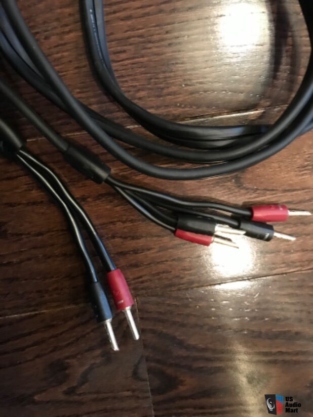 Audioquest Rocket 22 Bi-wire Single Speaker Cable 15 ft Photo #3800083 ...