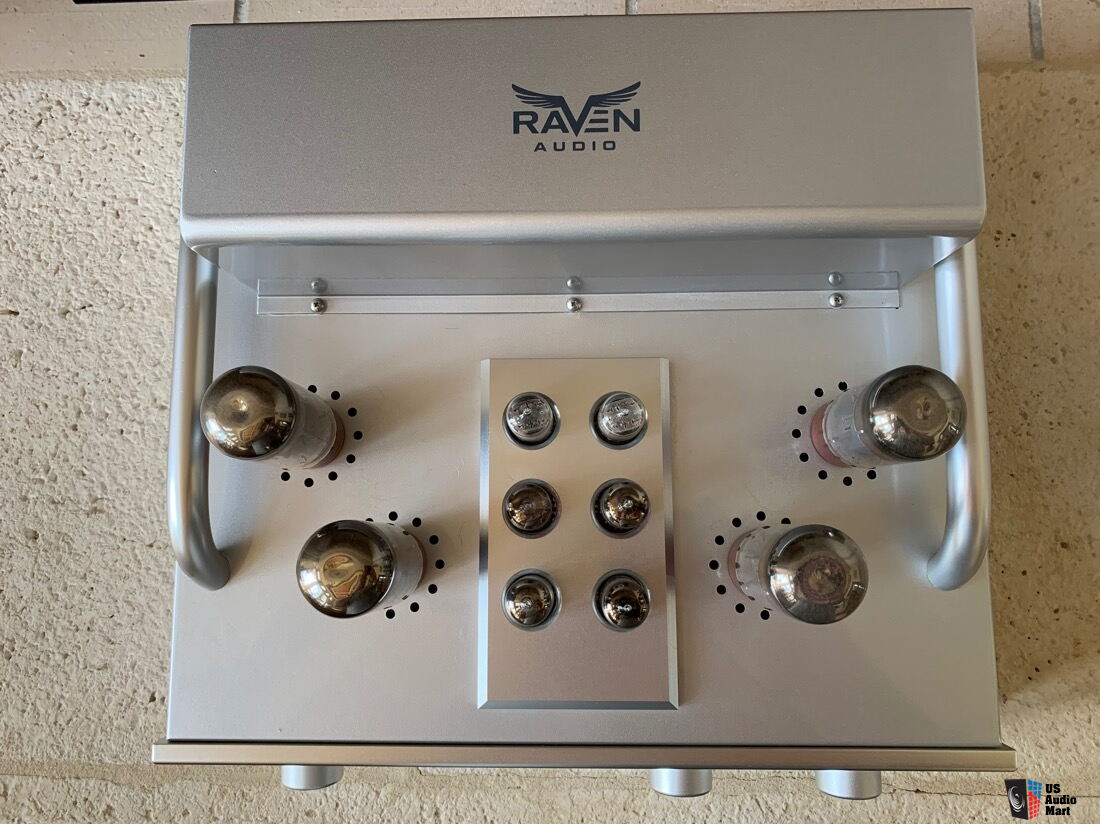 Raven Nighthawk Mk II (Upgraded to Blackhawk) Photo #3801248 - US Audio ...