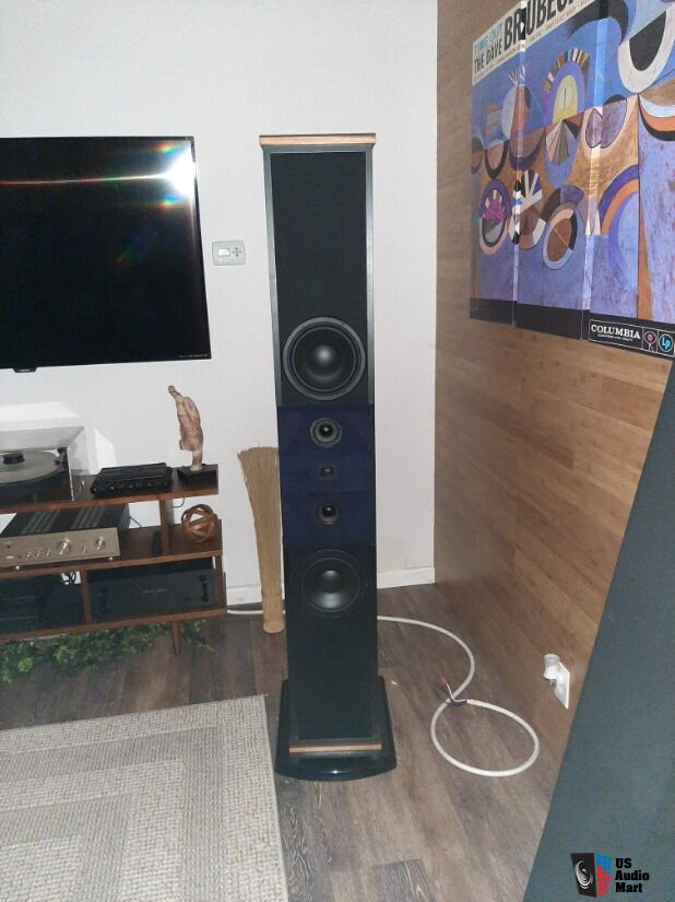 Duntech Princess Photo #3813287 - UK Audio Mart
