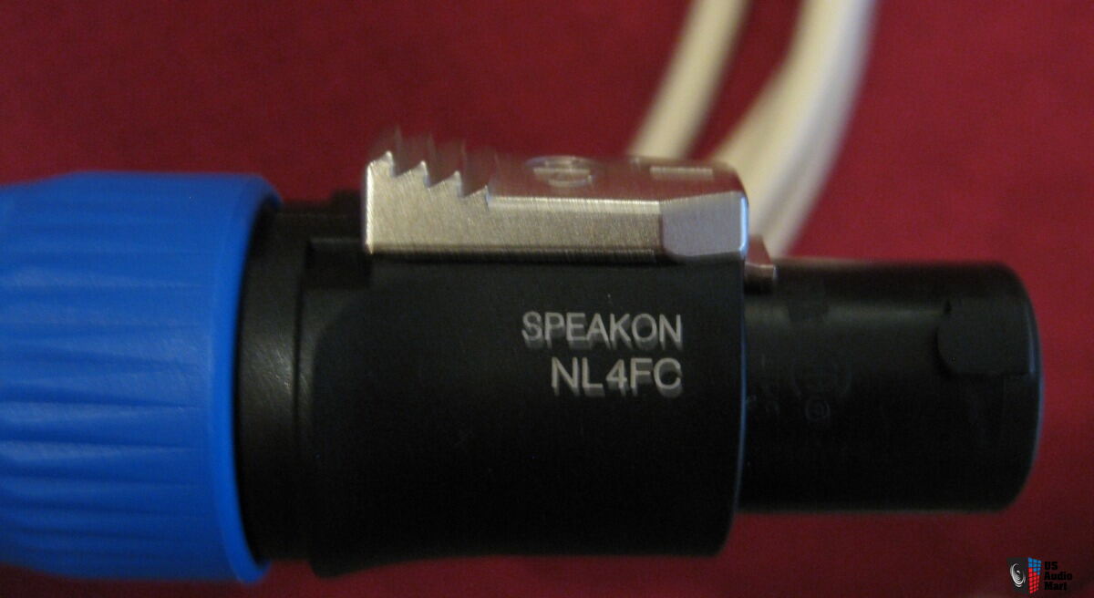 Custom High-Level Speakon Cable for REL Subwoofer, 10-ft Length w ...