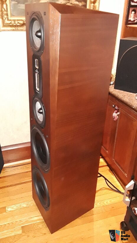 Legacy Focus SE Photo #3845504 - US Audio Mart