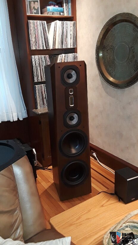 Legacy Focus SE Photo #3845504 - US Audio Mart
