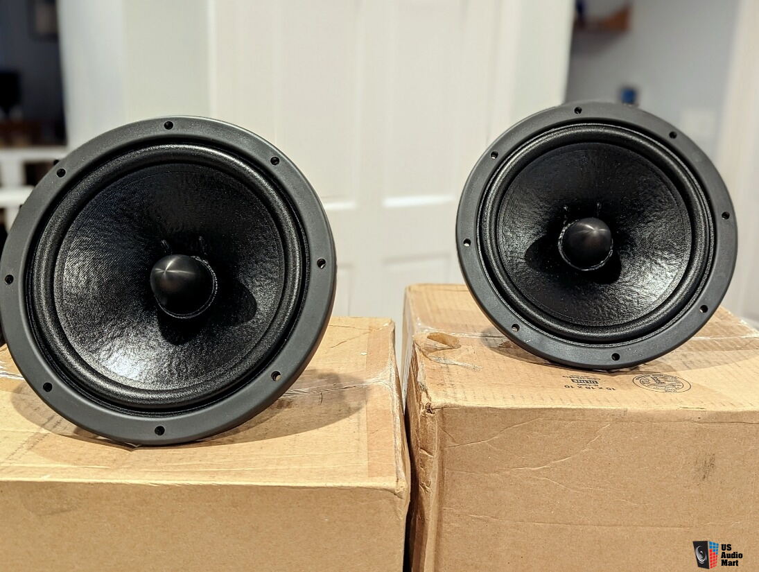 Acoustic Elegance TD-10H World-Class 10" Drivers w/Lambda Motor ...