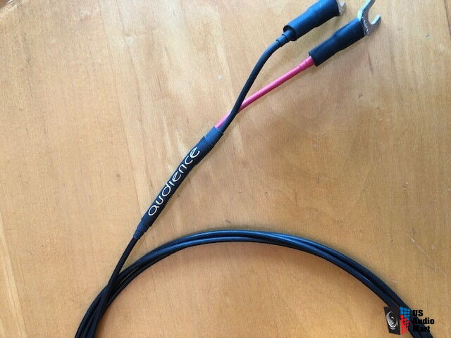 Audience AU24 Speaker Cable 3M For Sale - US Audio Mart