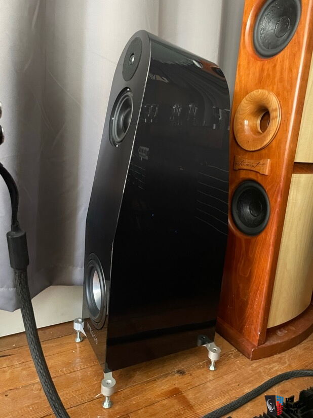 Eggleston Stellar1 Wegg3 Photo #3953221 - US Audio Mart