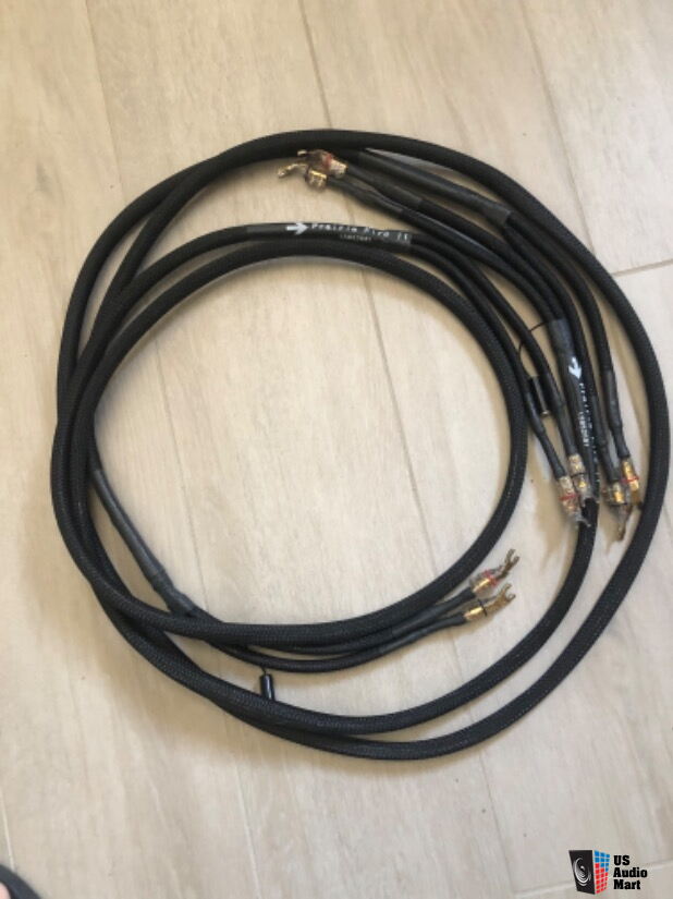 EnKlein Prairie Fire II speaker cables Photo #3953951 - US Audio Mart