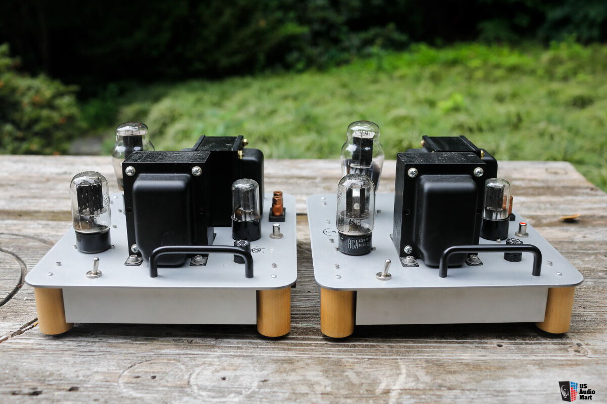 Don Garber Fi 2A3/45 monoblocks Photo #3956559 - US Audio Mart