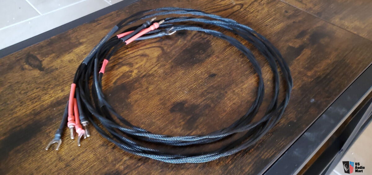 Clear Day Audio SIlver Speaker Cables, Single Run, 8 ft For Sale - US ...