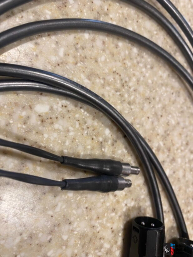Moon Audio Silver Dragon 15' Balanced headphone cable Photo #3963029 ...