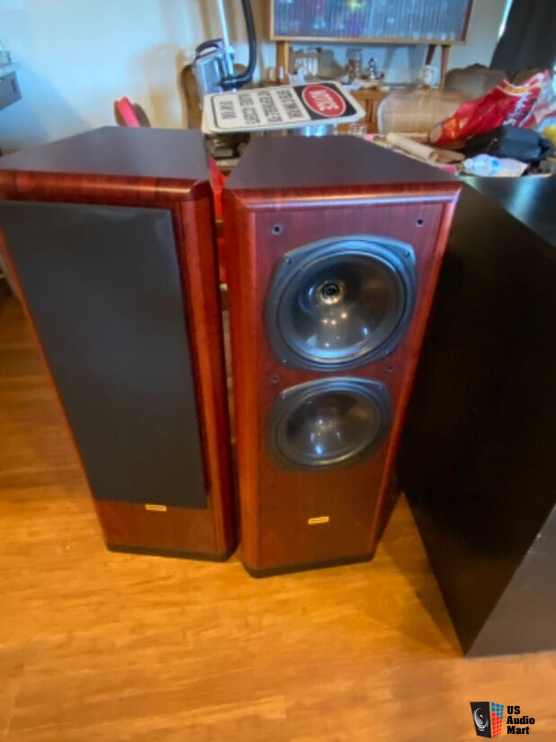 Tannoy Rosewood D700 floor speakers Photo #3978989 - UK Audio Mart