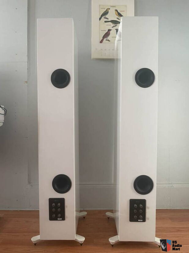 KEF R11 White Photo #4000450 - US Audio Mart