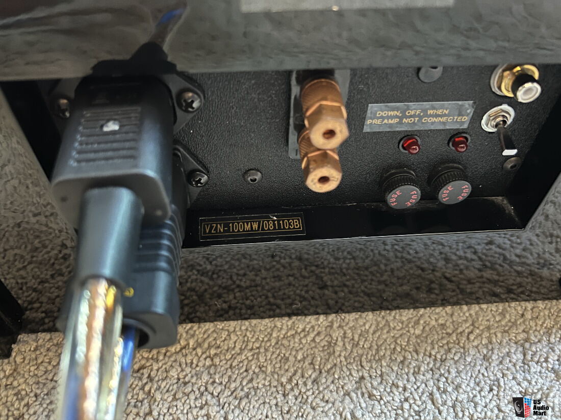 Joule Electra VZN-100MKIII 100W OTL Amps in Musicwood Chassis & Custom ...