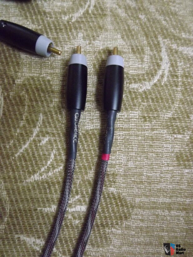 Audience ONHO 1 Meter pair interconnects Photo #4006560 - UK Audio Mart