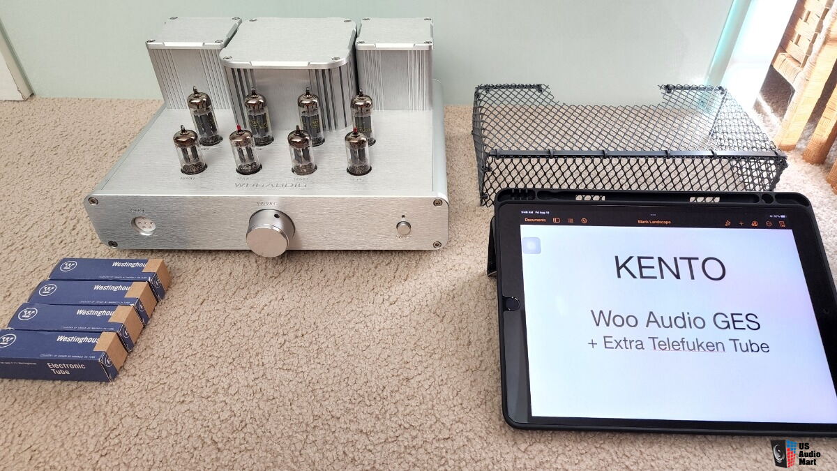 WTS : Woo Audio Ges + Extra Telefunken Tube Photo #4008830 - US Audio Mart