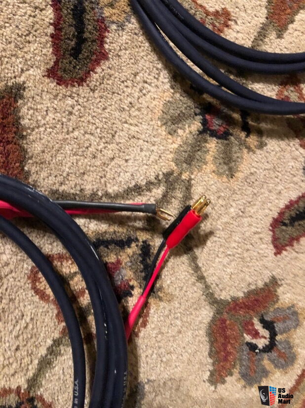 DH Labs T14 Speaker Cable Bi-wire set Photo #4013866 - UK Audio Mart