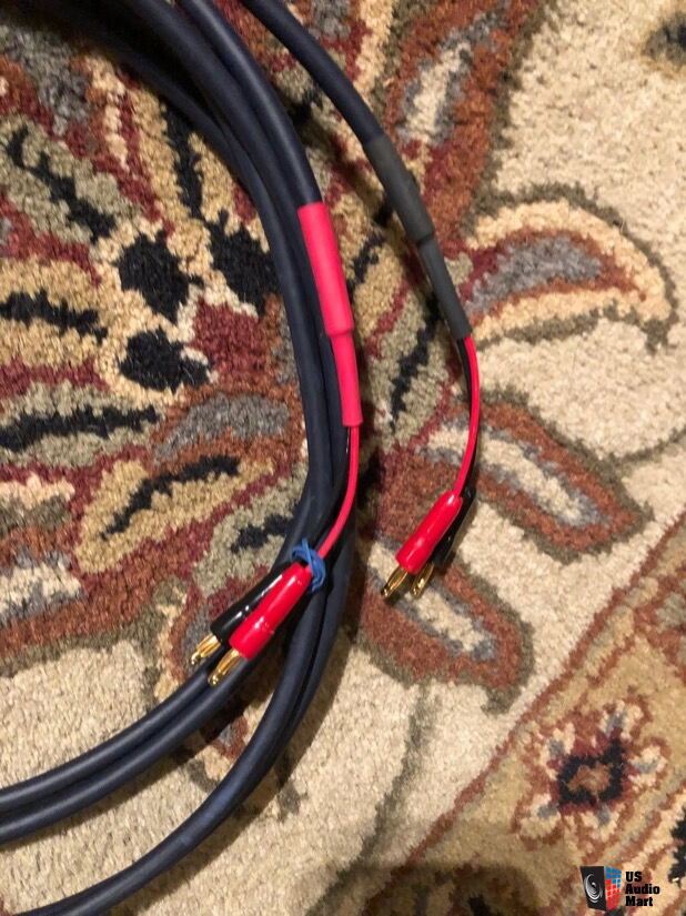 DH Labs T14 Speaker Cable Bi-wire set Photo #4013866 - UK Audio Mart
