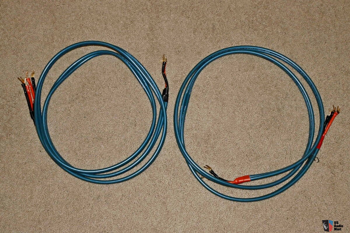 Wireworld Atlantis 5 speaker cables - biwire, factory spades thruout ...
