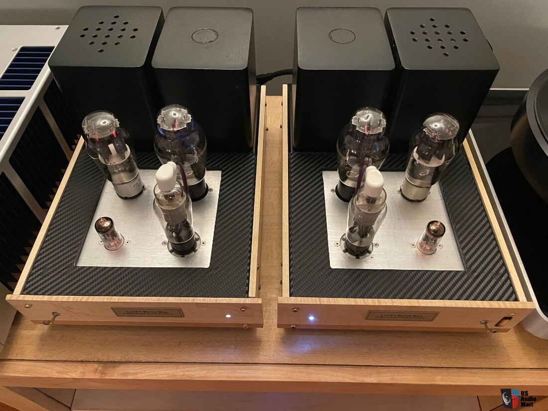 DIY HiFi Supply Lux 91 max monoblocks Photo #4030970 - US Audio Mart