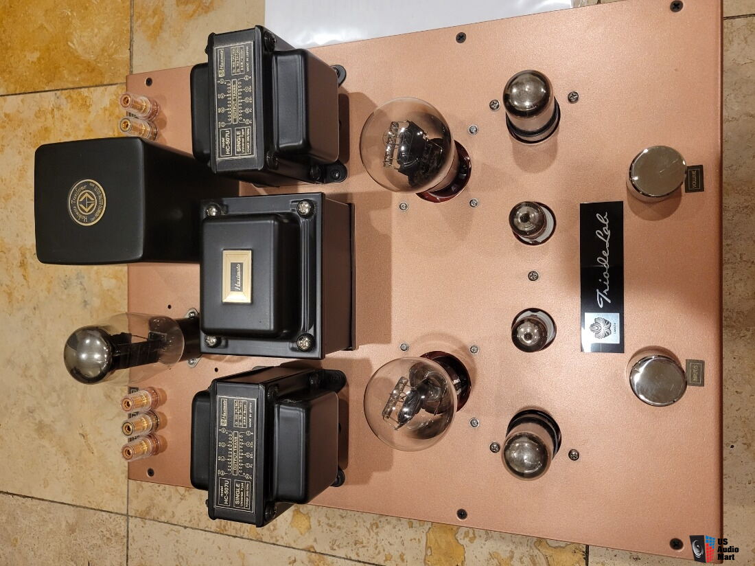 Triode Labs 45 EVO Integrated amp Photo #4033504 - US Audio Mart