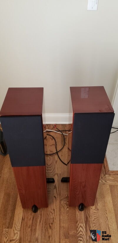Totem Forest Signatures Photo #4035865 - US Audio Mart